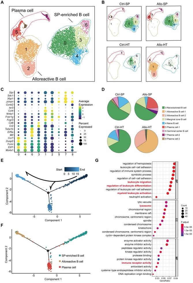 Single-Cell RNA sequencing reveals immune cell dynamics and local ...