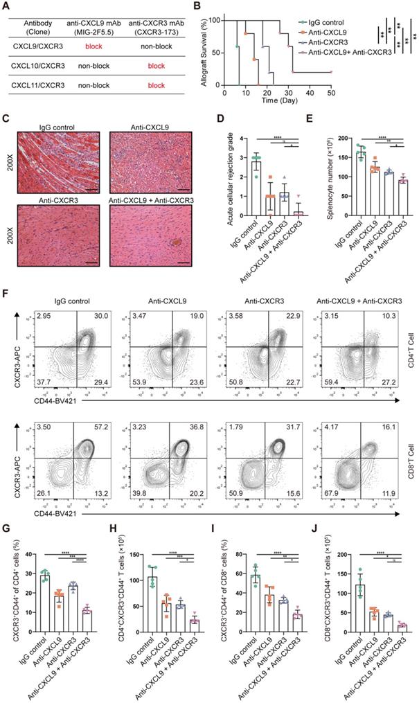 Single-Cell RNA sequencing reveals immune cell dynamics and local ...