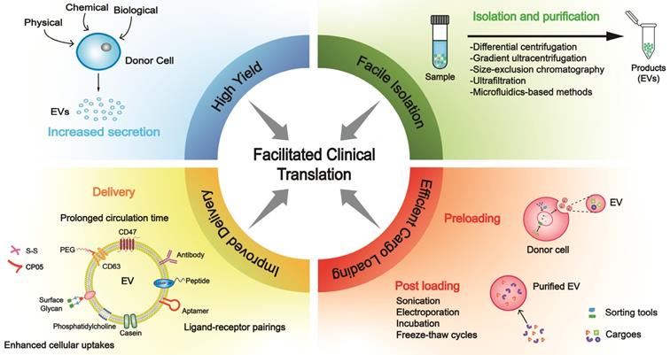 Multiplexed strategies toward clinical translation of extracellular ...
