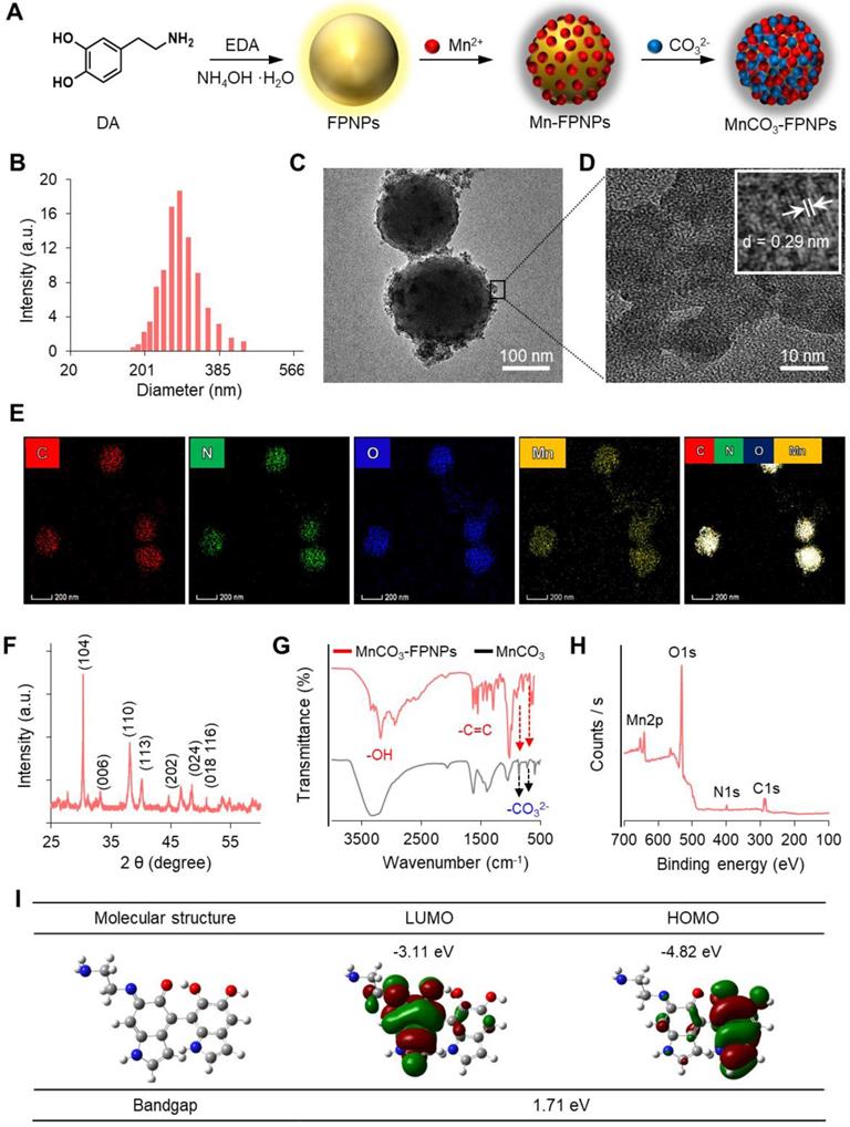 MnCO3-mineralized polydopamine nanoparticles as an activatable ...