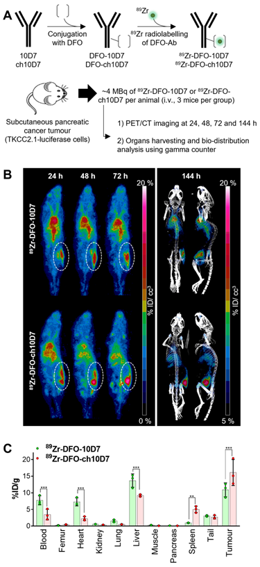 CUB Domain-Containing Protein 1 (CDCP1) is a rational target for the development of imaging ...