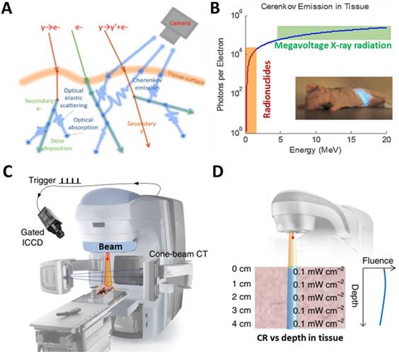 Cerenkov radiation-activated probes for deep cancer theranostics: a review
