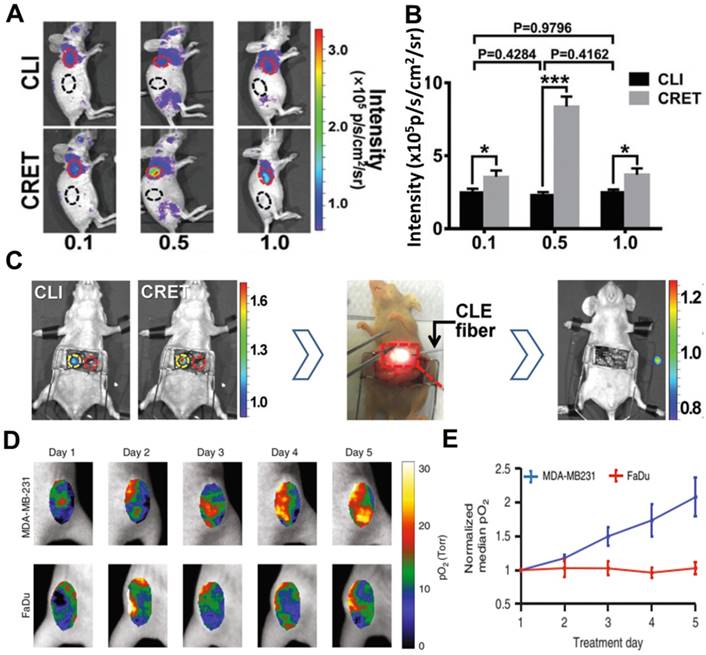 Cerenkov radiation-activated probes for deep cancer theranostics: a review