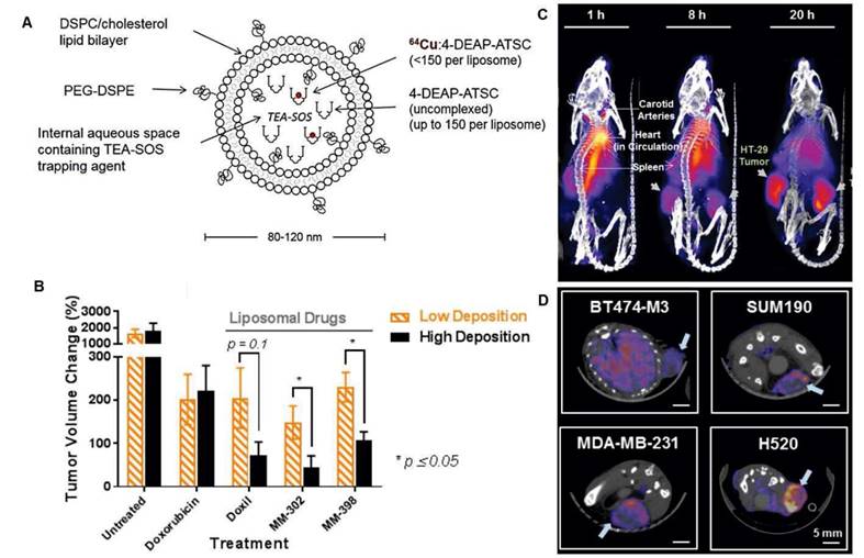Lipid nanoparticles for delivery of RNA therapeutics: Current status ...