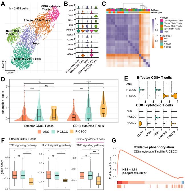 Signatures of EMT, immunosuppression, and inflammation in primary and ...