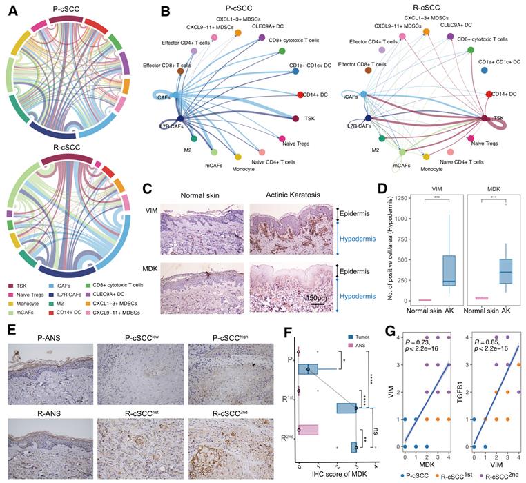 Signatures of EMT, immunosuppression, and inflammation in primary and ...