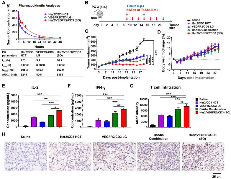 A Novel Her2/VEGFR2/CD3 trispecific antibody with an optimal structural ...
