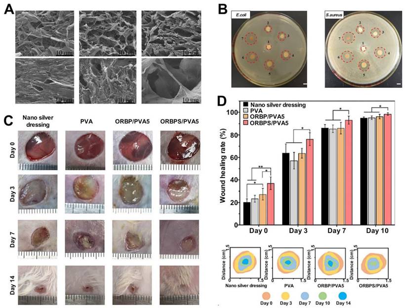 Recent advances in the medical applications of hemostatic materials