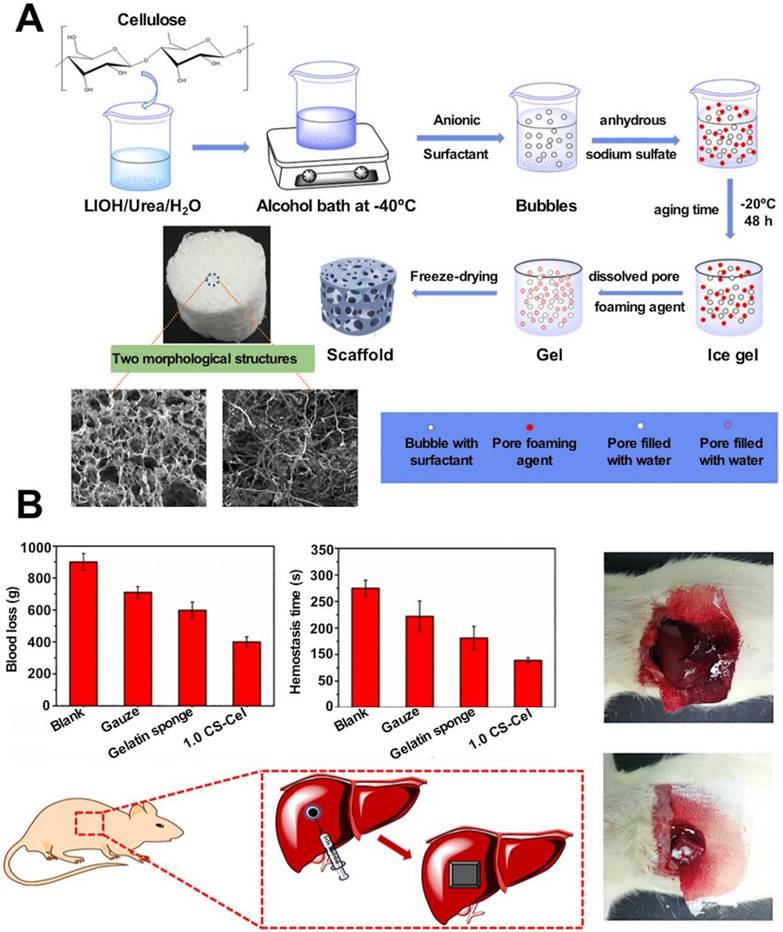 Recent advances in the medical applications of hemostatic materials