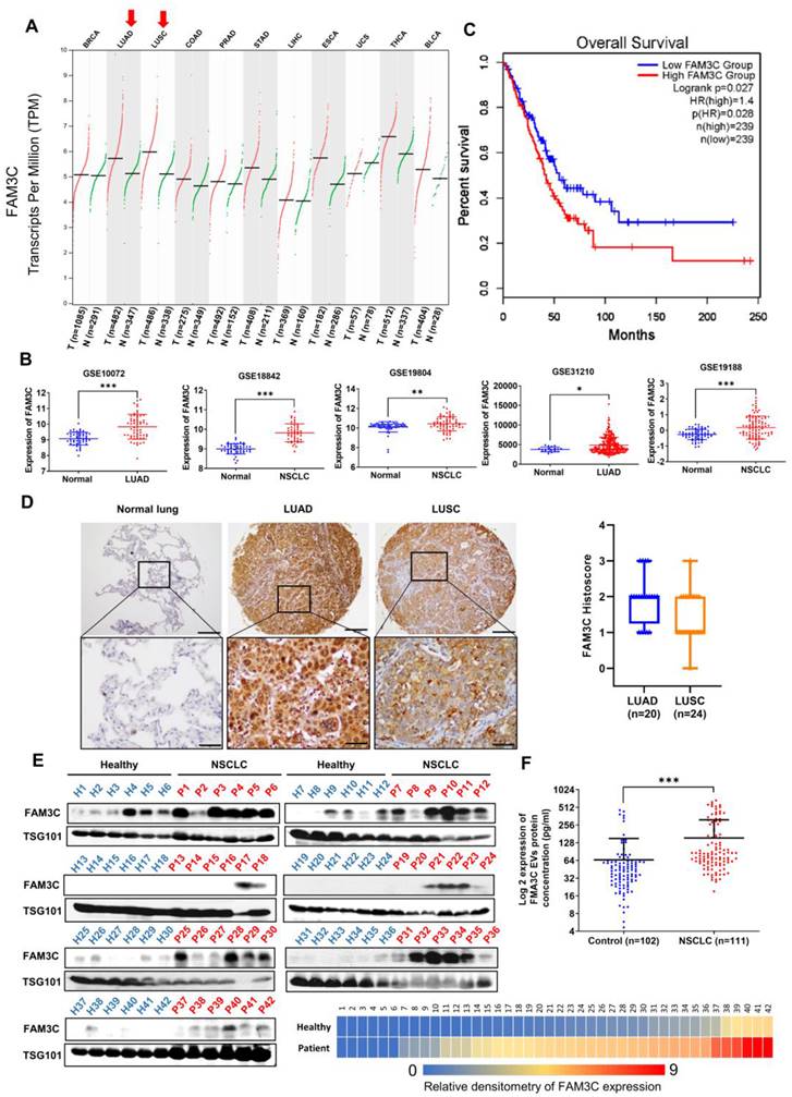 FAM3C in circulating tumor-derived extracellular vesicles promotes non ...