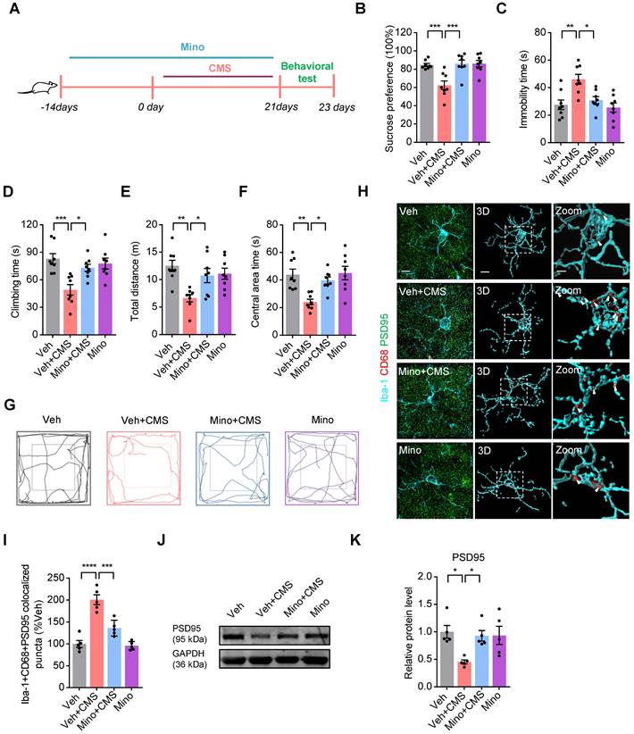 Phloretin decreases microglia-mediated synaptic engulfment to prevent ...