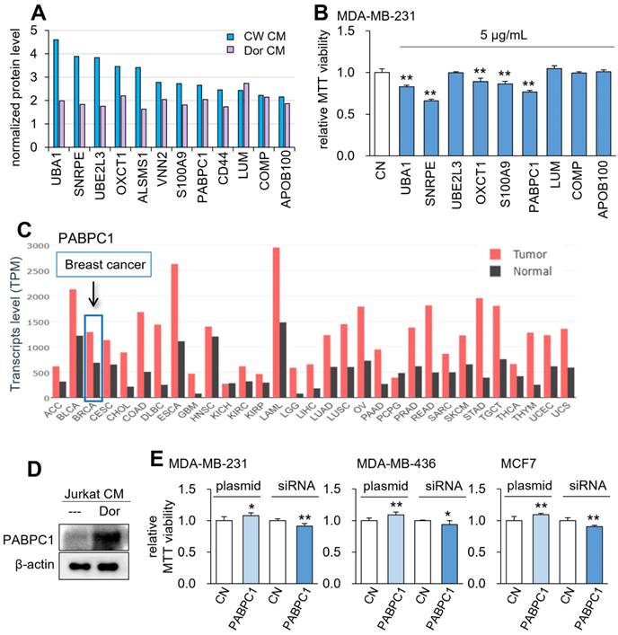Proteomes from AMPK-inhibited peripheral blood mononuclear cells ...