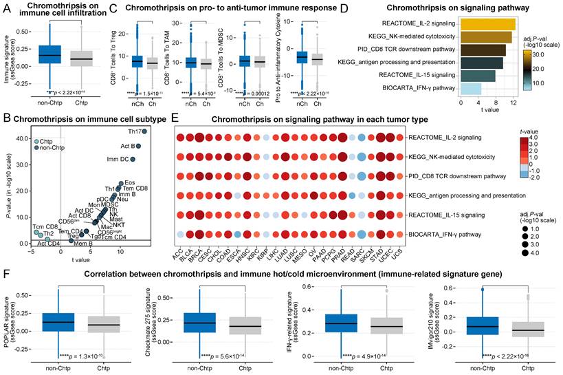 Chromothripsis is correlated with reduced cytotoxic immune infiltration ...