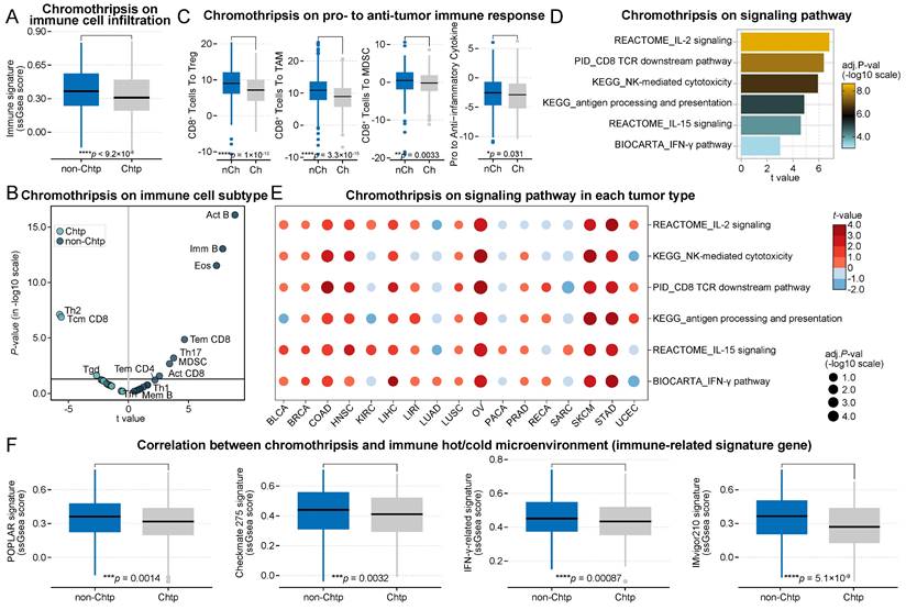 Chromothripsis is correlated with reduced cytotoxic immune infiltration ...