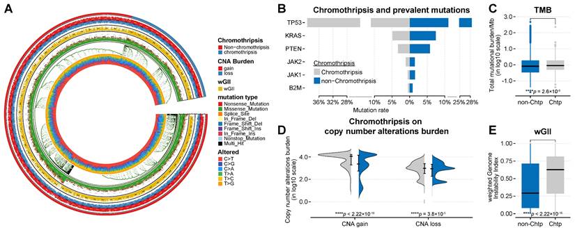 Chromothripsis is correlated with reduced cytotoxic immune infiltration ...