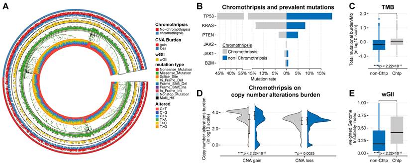 Chromothripsis is correlated with reduced cytotoxic immune infiltration and diminished ...