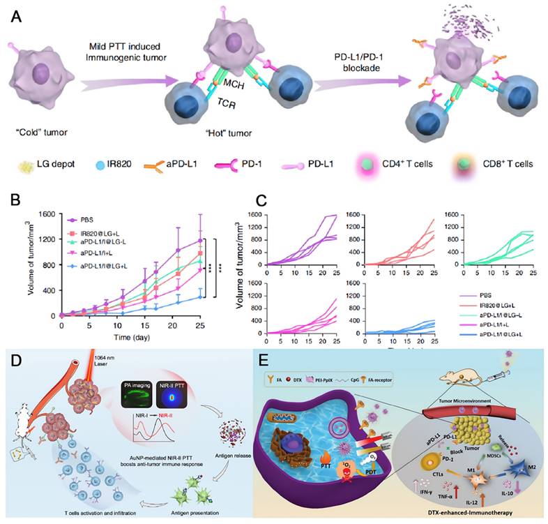 Strategies targeting PD-L1 expression and associated opportunities for ...