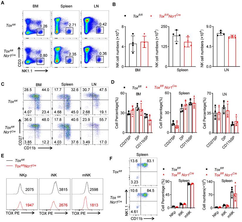 Transcription factor TOX maintains the expression of Mst1 in ...