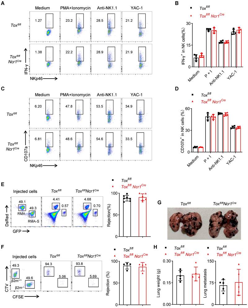 Transcription factor TOX maintains the expression of Mst1 in ...