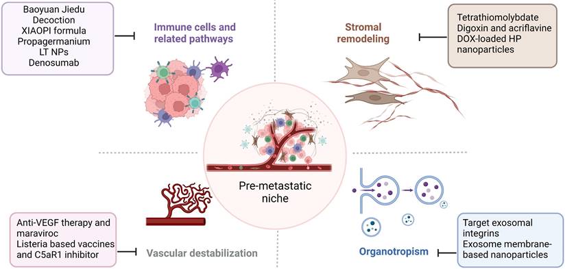 Pre-metastatic niche: from revealing the molecular and cellular ...