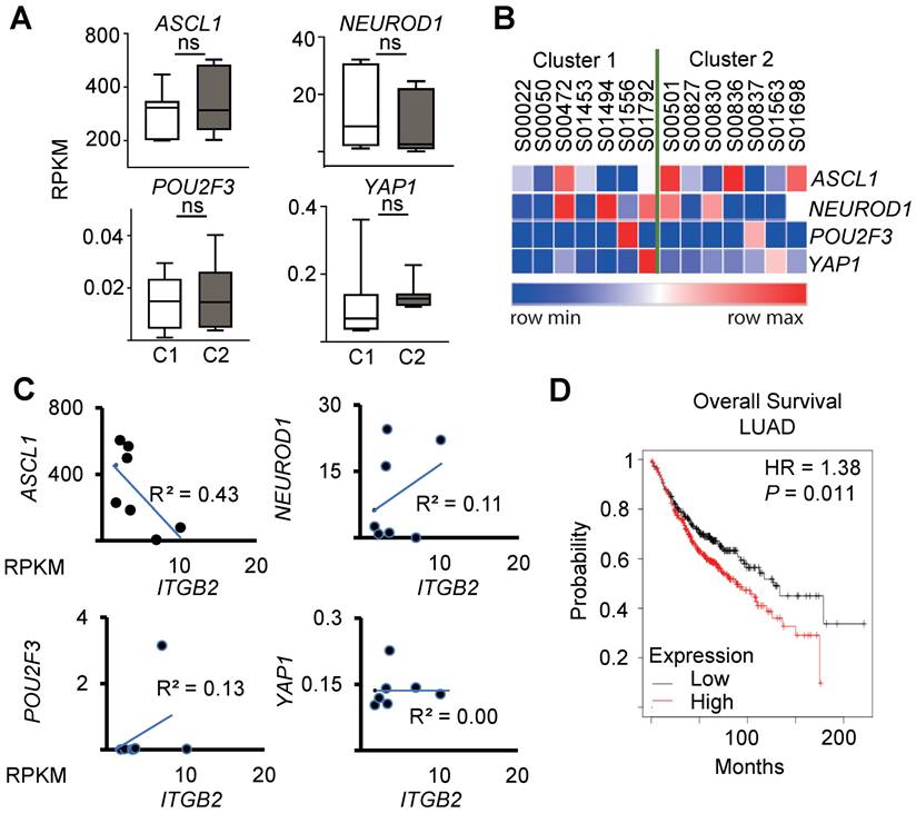 Non-canonical integrin signaling activates EGFR and RAS-MAPK-ERK ...