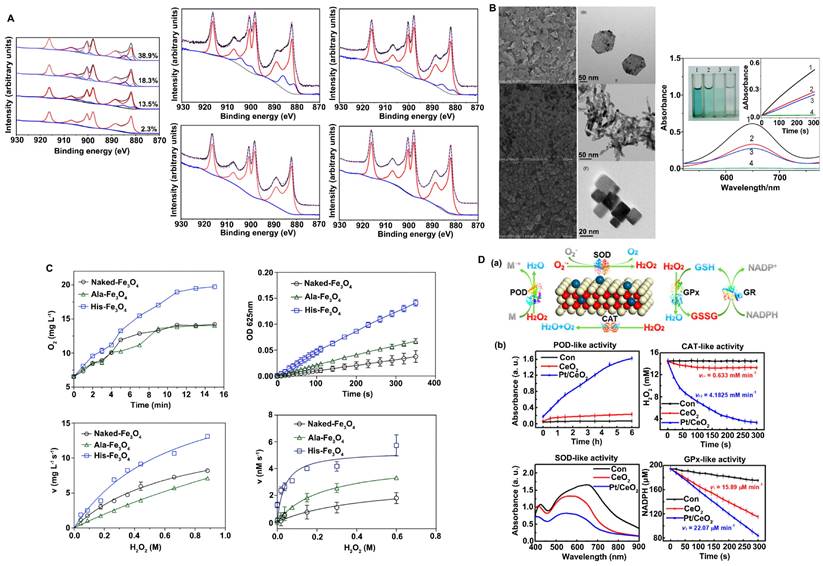 The applications of nanozymes in neurological diseases: From mechanism ...