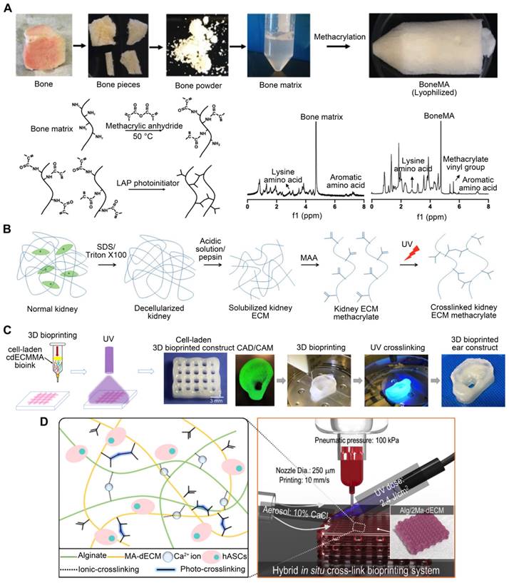 Strategies for improving the 3D printability of decellularized extracellular matrix bioink