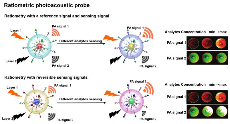 Ratiometric optical probes for biosensing
