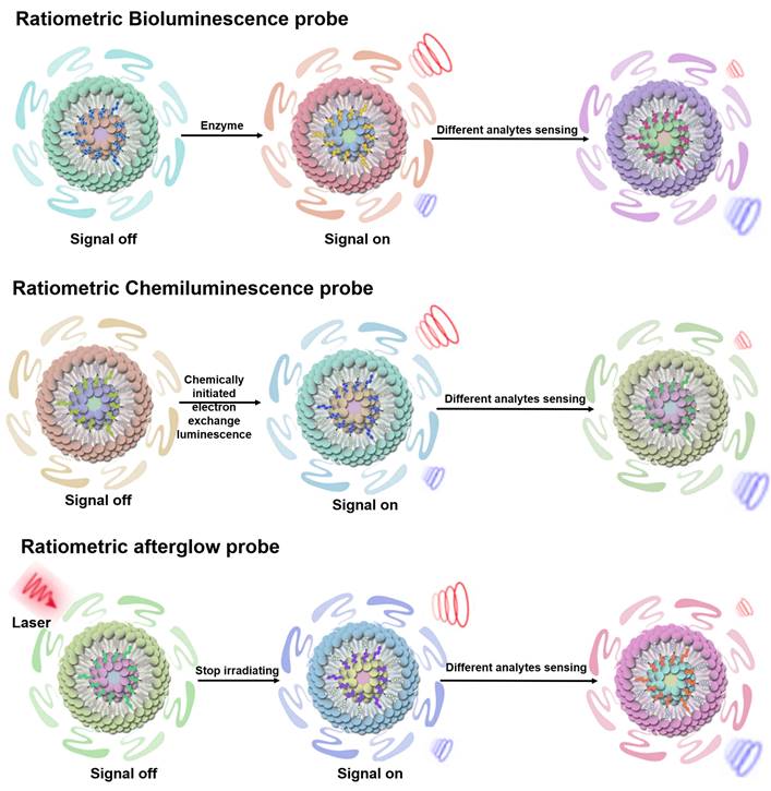 Ratiometric optical probes for biosensing
