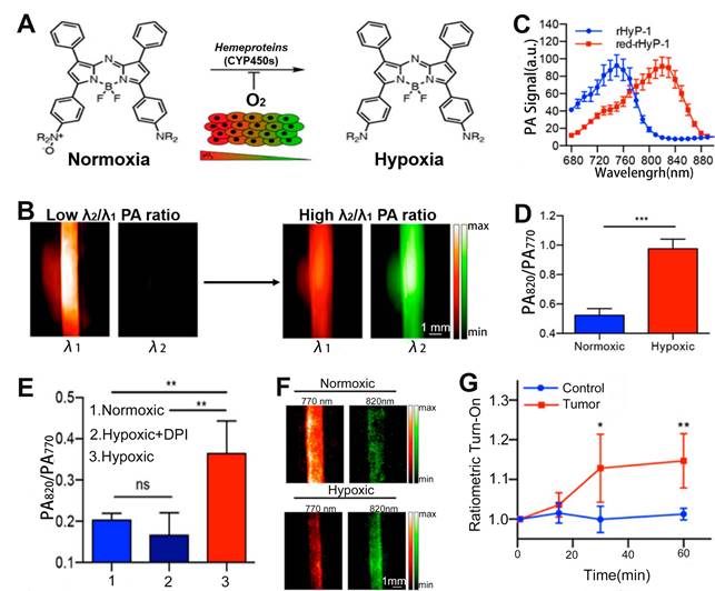 Ratiometric optical probes for biosensing