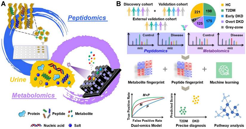 Integration of metabolomics and peptidomics reveals distinct molecular ...