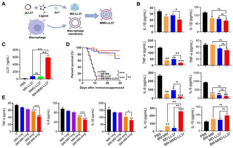 Cell-membrane-coated nanoparticles for the fight against pathogenic ...