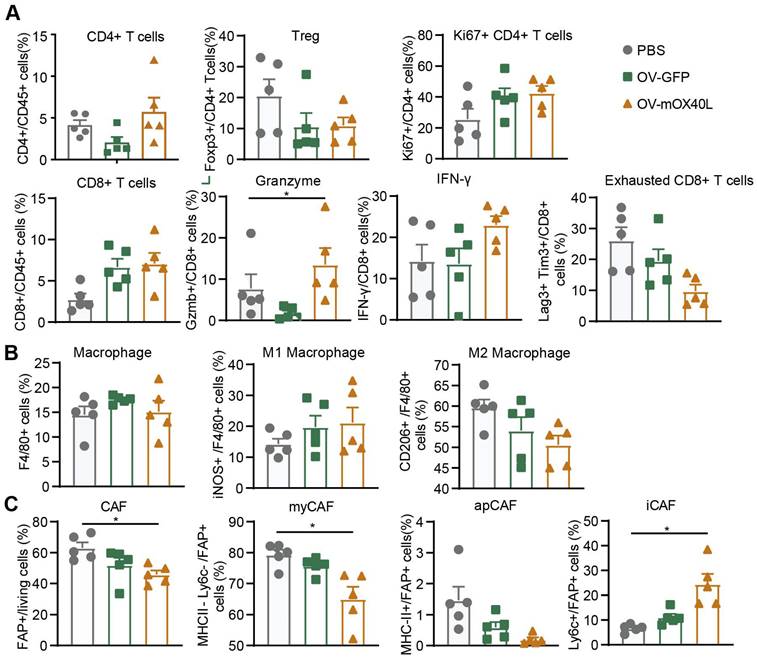 OX40L-Armed Oncolytic Virus Boosts T-cell Response and Remodels Tumor ...