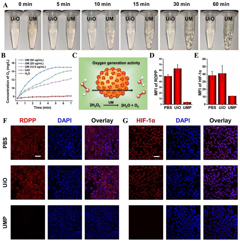 Immunogenic radiation therapy for enhanced anti-tumor immunity via core ...