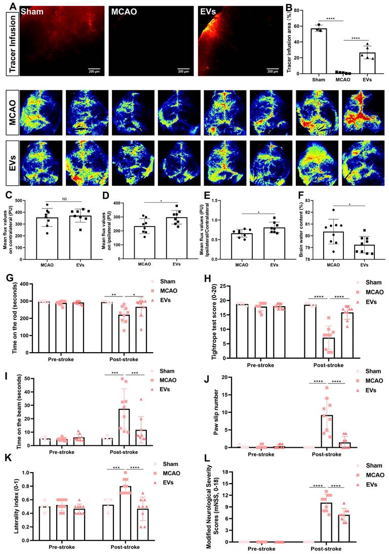 Preconditioned extracellular vesicles from hypoxic microglia reduce ...