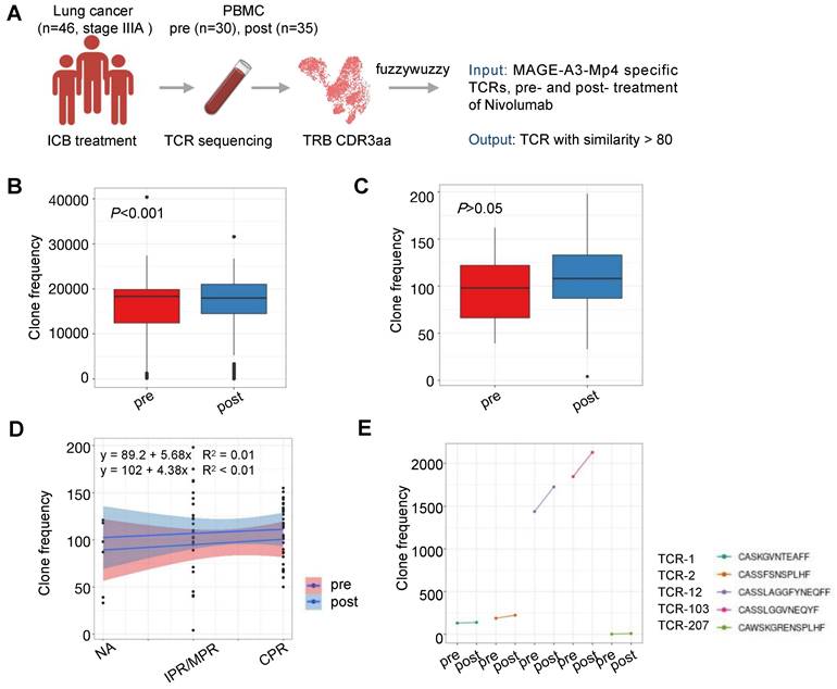 Global analysis of HLA-A2 restricted MAGE-A3 tumor antigen epitopes and ...
