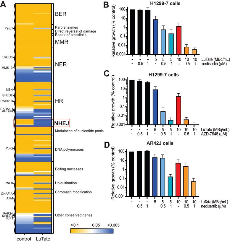 A genome-wide CRISPR/Cas9 screen identifies DNA-PK as a sensitiser to ...