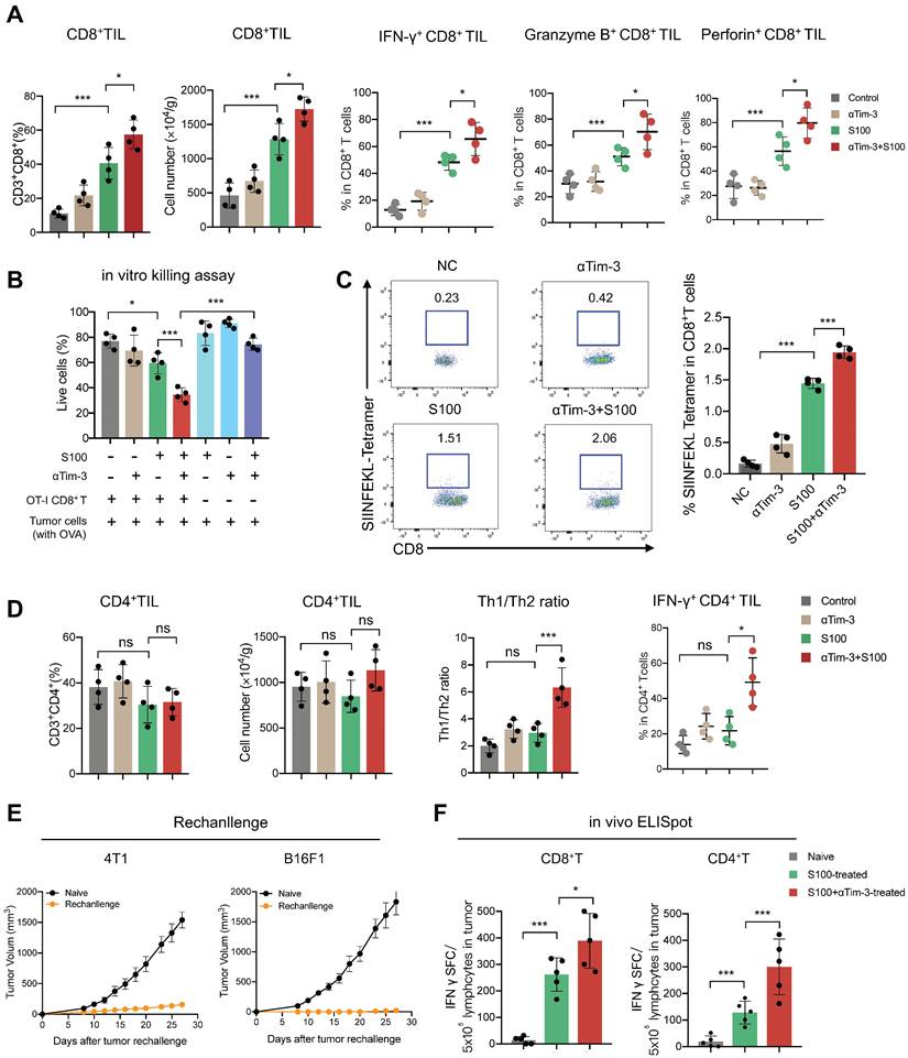 Blocking Tim-3 enhances the anti-tumor immunity of STING agonist ADU ...