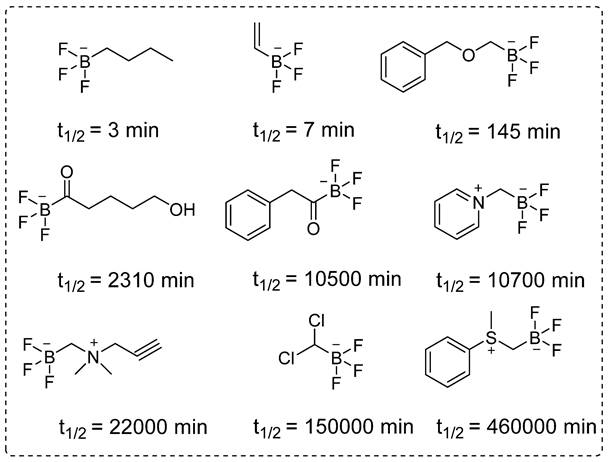 The role of radiolabeling in BNCT tracers for enhanced dosimetry and ...