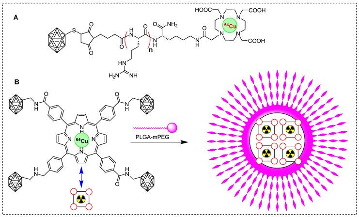 The role of radiolabeling in BNCT tracers for enhanced dosimetry and treatment planning