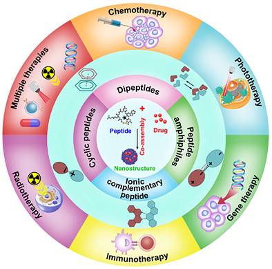 Peptide-drug co-assembling: A potent armament against cancer