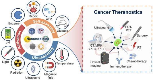 Stimuli-activatable nanomedicine meets cancer theranostics