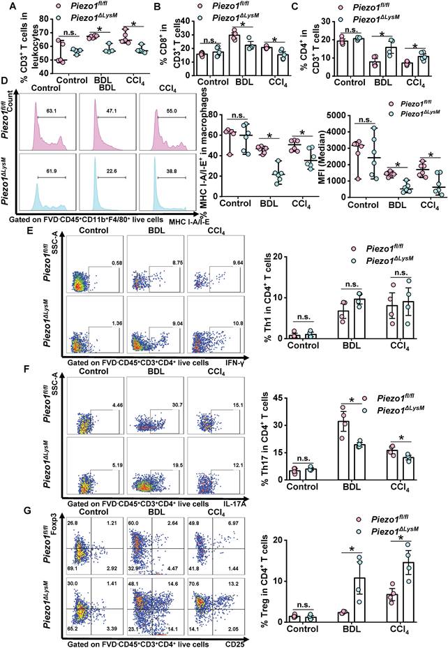 Piezo1 specific deletion in macrophage protects the progression of ...