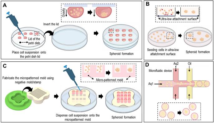Tumor-on-a-chip models combined with mini-tissues or organoids for ...
