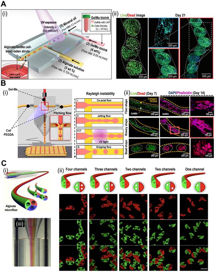Tumor-on-a-chip models combined with mini-tissues or organoids for ...