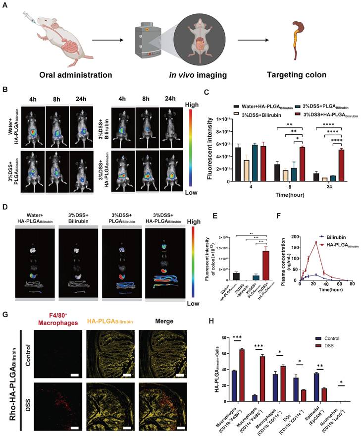 Targeted modulation of intestinal epithelial regeneration and immune ...