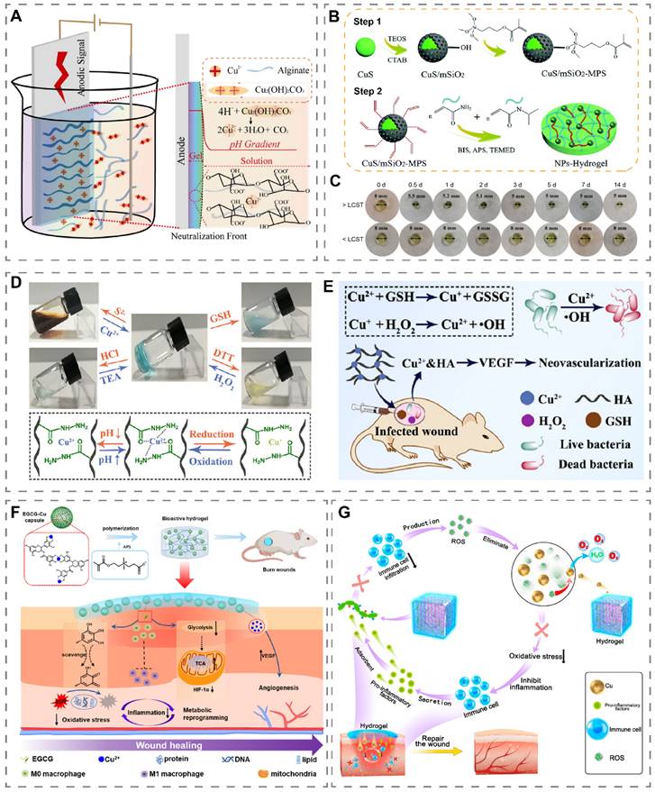 Copper incorporated biomaterial-based technologies for multifunctional ...