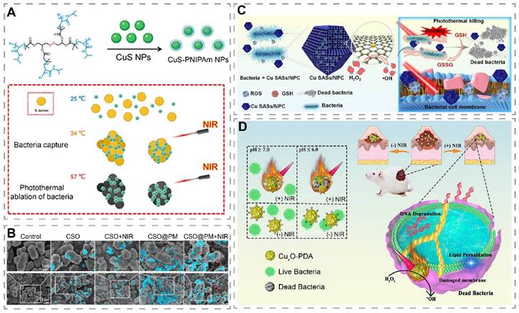 Copper incorporated biomaterial-based technologies for multifunctional ...