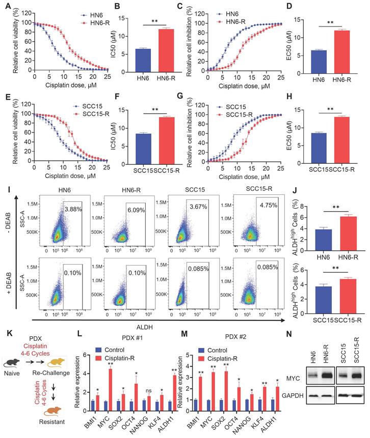 Pharmacological inhibition of MYC to mitigate chemoresistance in ...