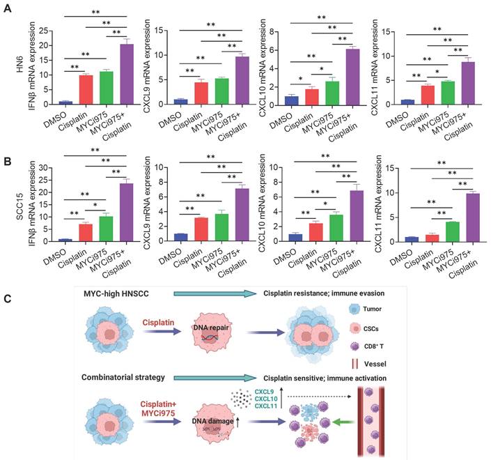 Pharmacological inhibition of MYC to mitigate chemoresistance in ...